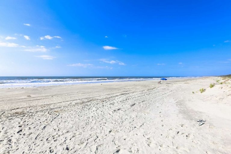 Charleston Kids Activities: 8 Top Attractions for Family Vacations