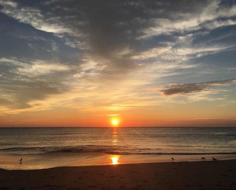 Wilmington Beaches: Best Places Along North Carolina's Coast